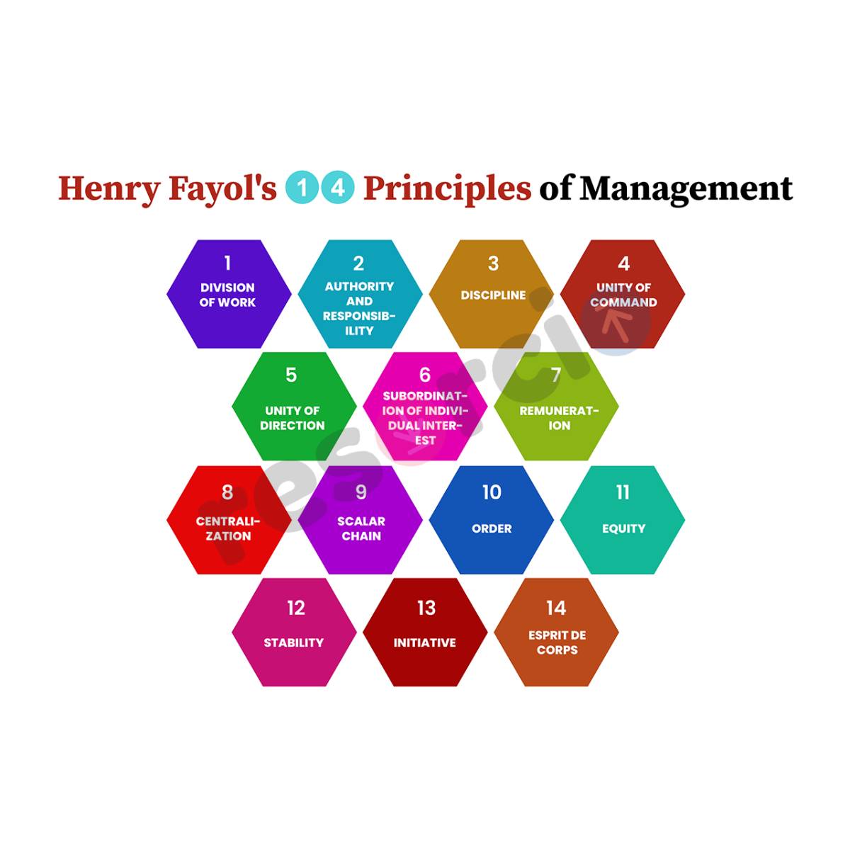 Henry Fayol's 14 Principles of Management Points - 05