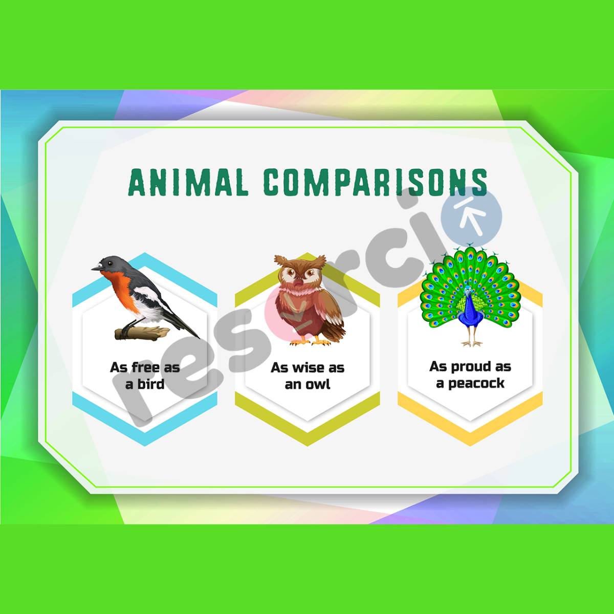 Animal Comparisons - Template - 03