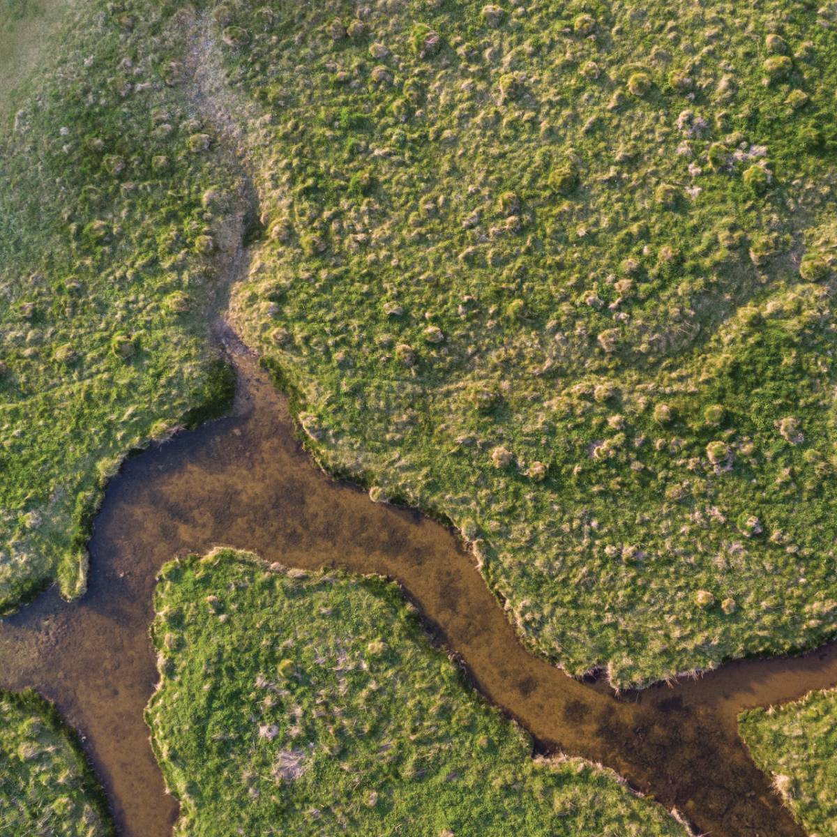 The Pilgrim Centre of Yedu Payalu