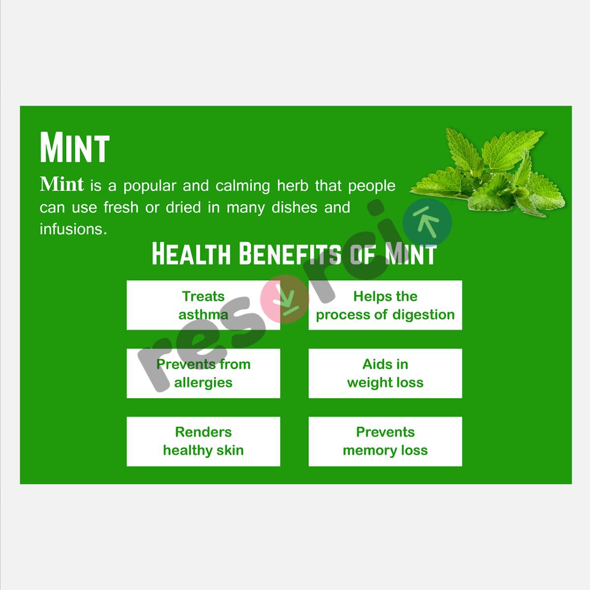 Health Benefits of Mint - 01